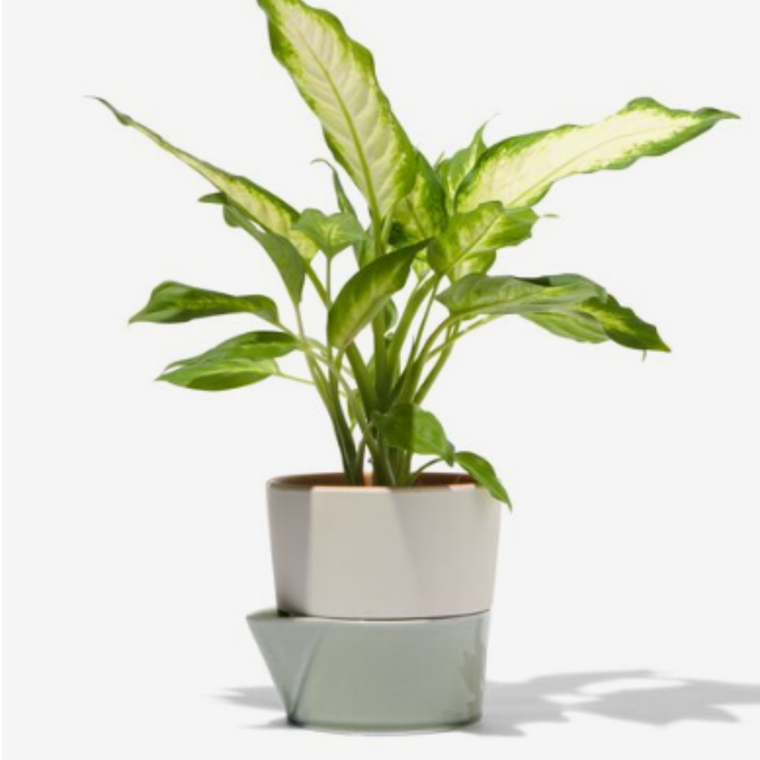 Décoration d’un salon : 8 produits tendance du moment - LNArchitecte d ...